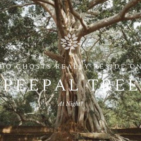 Reason Behind Worshipping Lord Ganesha Under The Peepal Tree | Dharma