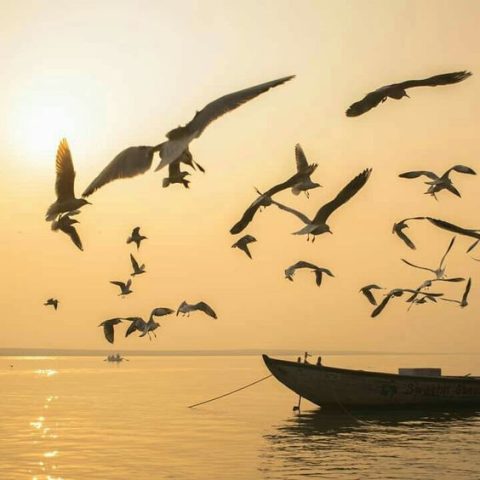 Consume Holy Tirtha Water Daily & Charge Your Mind & Body Up | Dharma ...