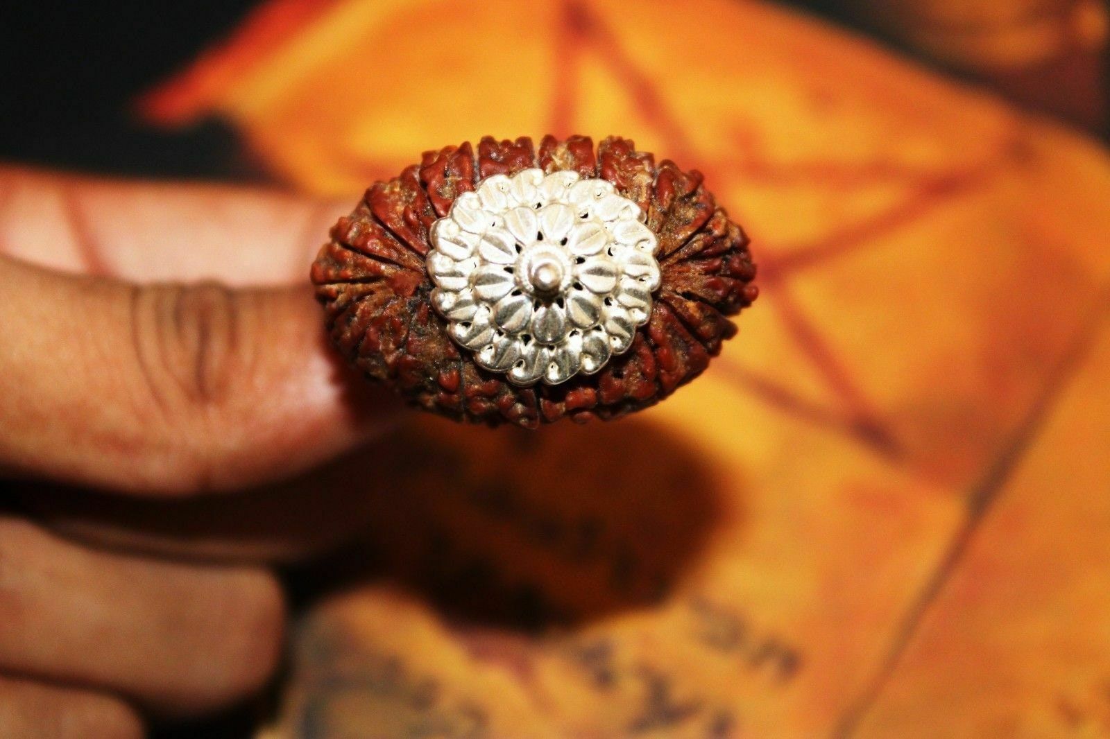 Wear 21 Mukhi Rudraksha To Achieve Strong Decision-making Abilities ...